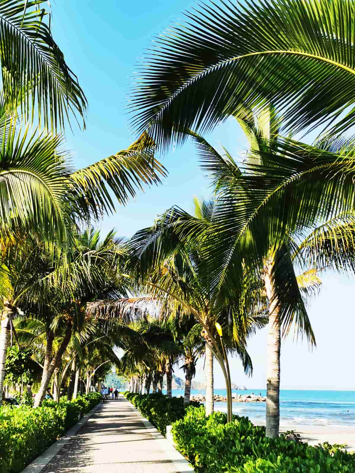 Ixtapa Island: How to Spend the Day at Isla Ixtapa