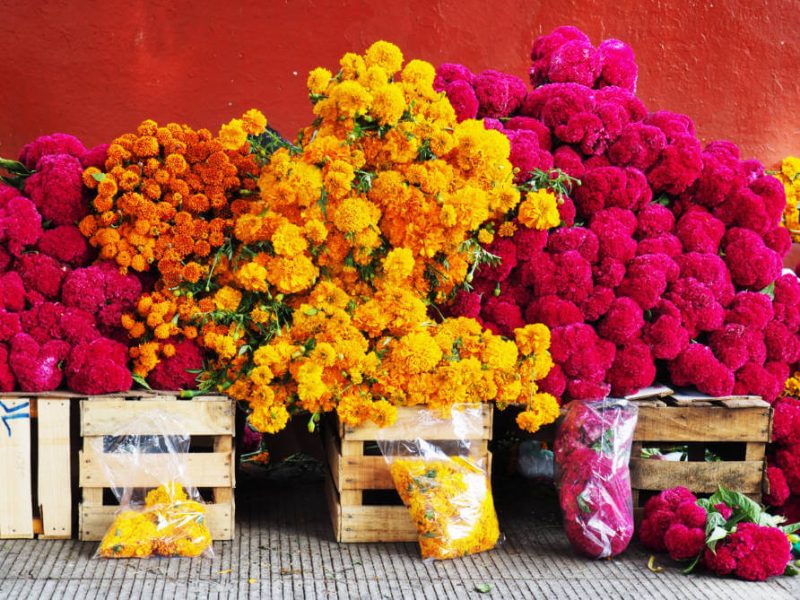 23 Day of the Dead Facts You Need to Know
